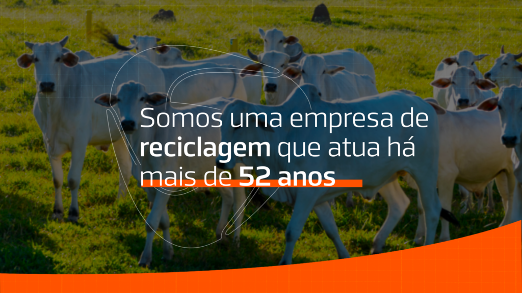 Grupo Patense – Só mais um site WordPress